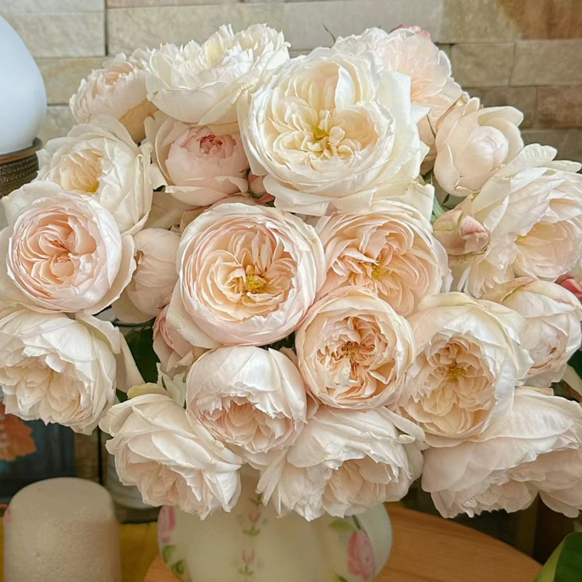 Rose de Lune Japanese Garden Shrub Rose – Highgarden Roses