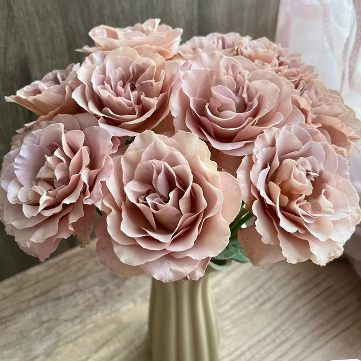 Cafe Latte Dutch Florist Shrub Rose – Highgarden Roses