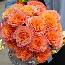 Free Spirit German Florist Shrub Rose Own Root | Highgarden Roses | Tantau