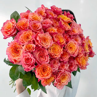 German Florist Shrub Rose Live Plant | Highgarden Roses | Free Spirit ...