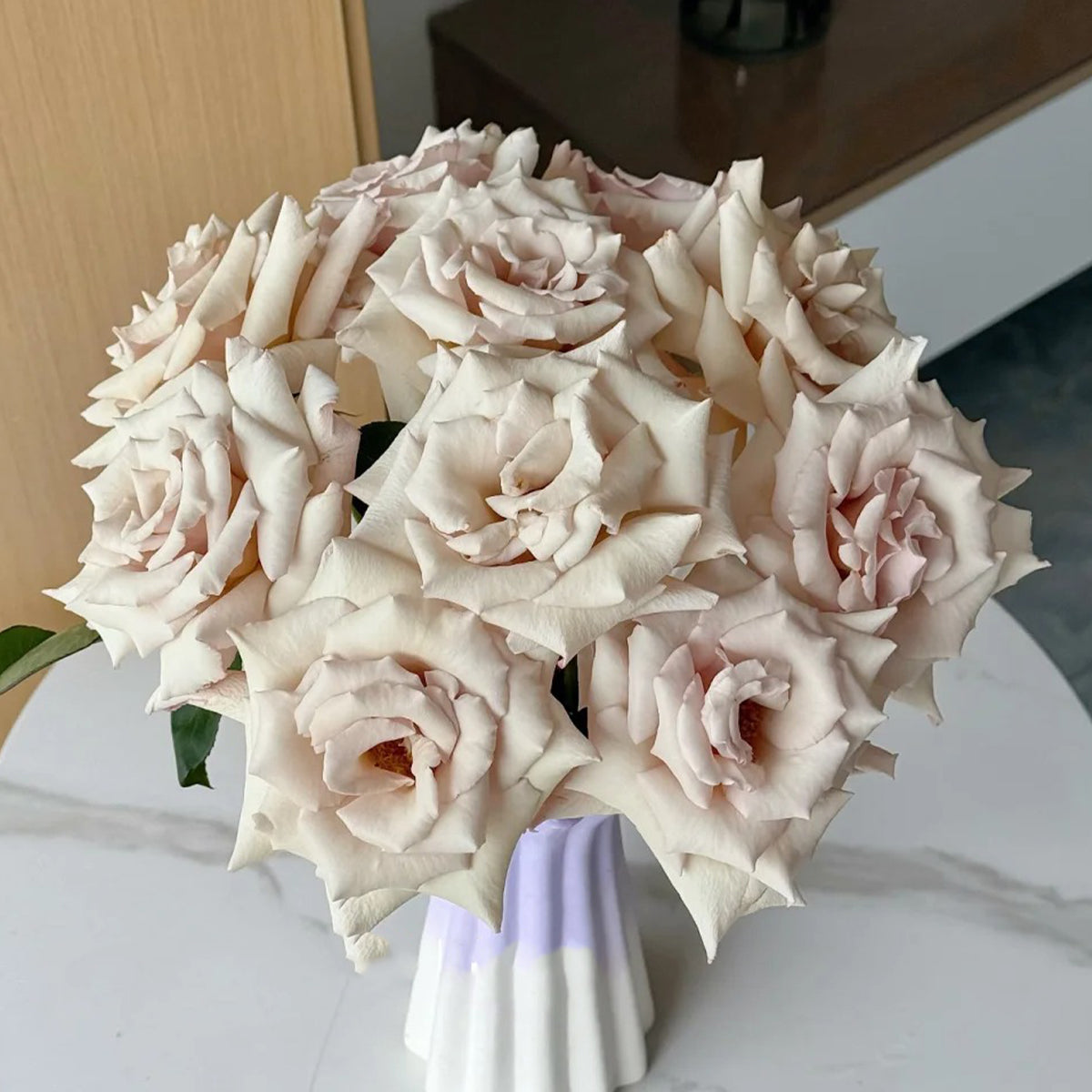 Courage Japanese Florist Shrub Rose – Highgarden Roses