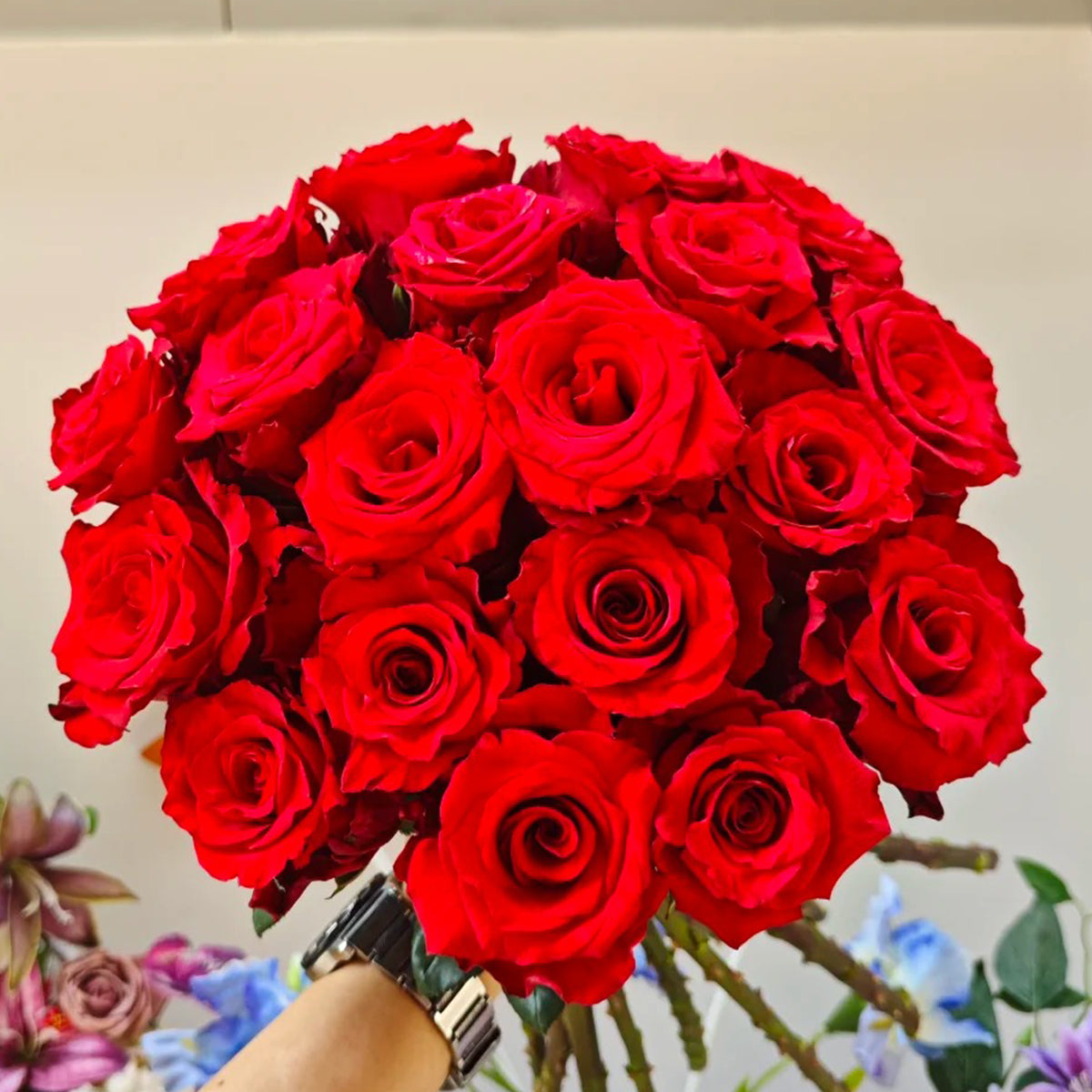Goddess of the Fire Florist Shrub Rose Bush For Sale – Highgarden Roses