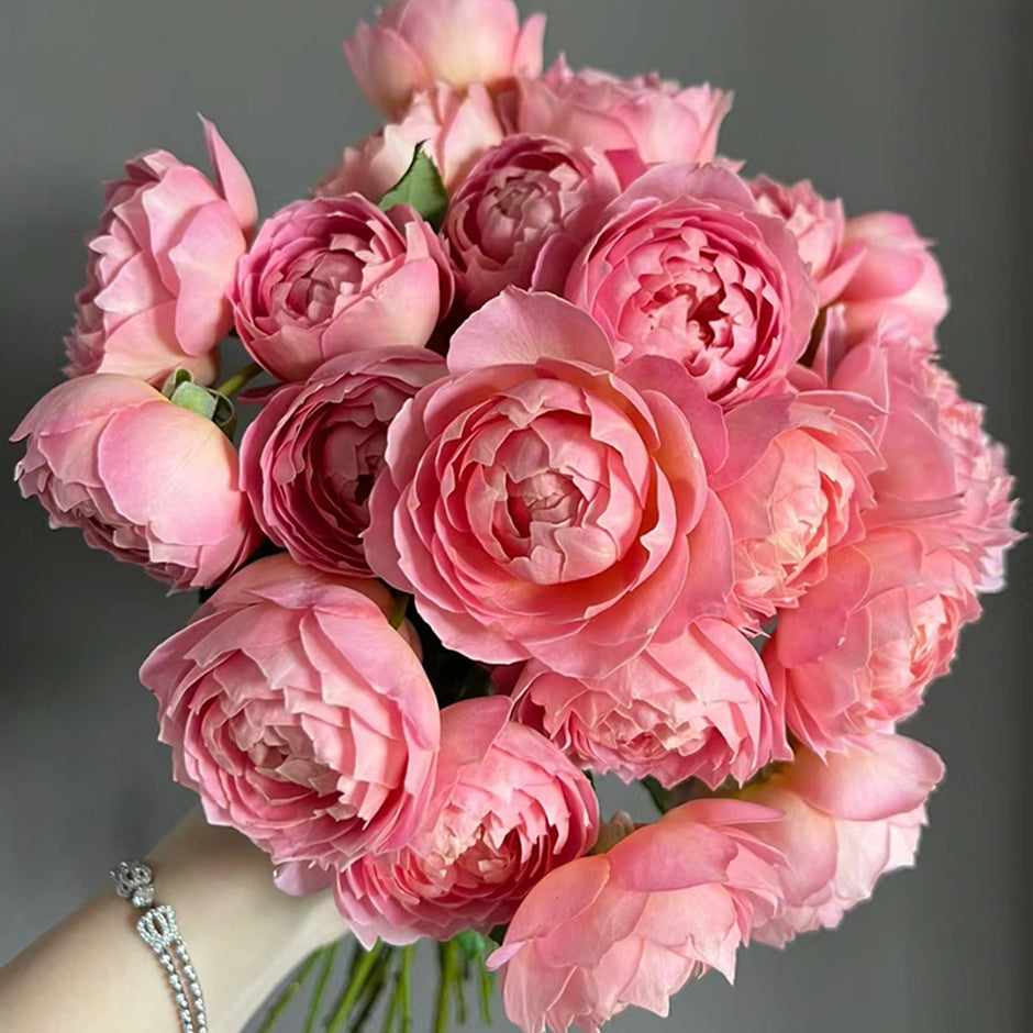 Best Selling Premium Rose Bushes | English Japanese French Garden Roses ...