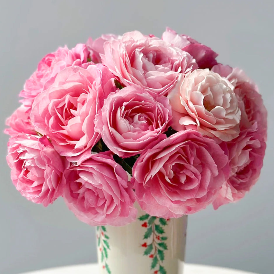 Premium Own Root Garden & Florist Rose Bushes | Ships Nationwide ...