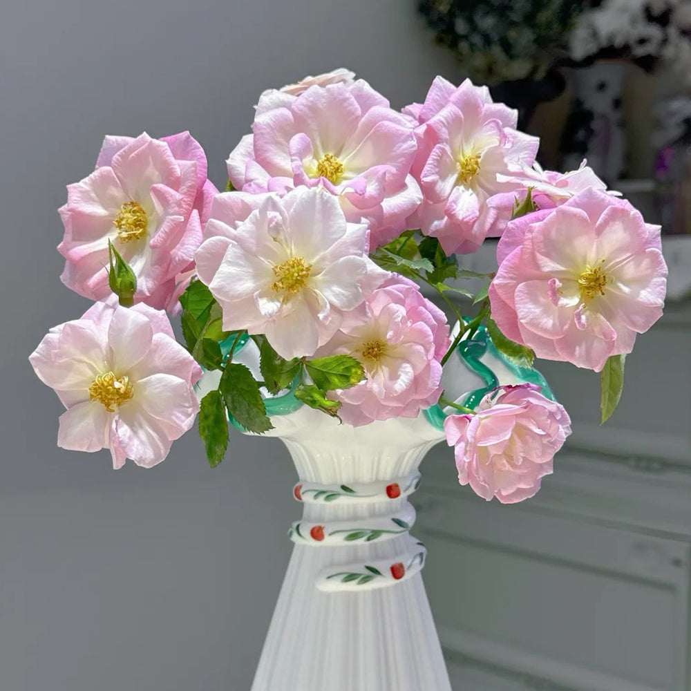 Sakuragasumi Japanese Garden Climbing Rose – Highgarden Roses