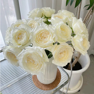 Japanese Garden Shrub Rose Live Plant | Highgarden Roses | Gardening ...