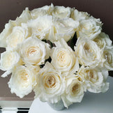 Princess Miyuki Japanese Garden Shrub Rose Own Root | Highgarden Roses ...
